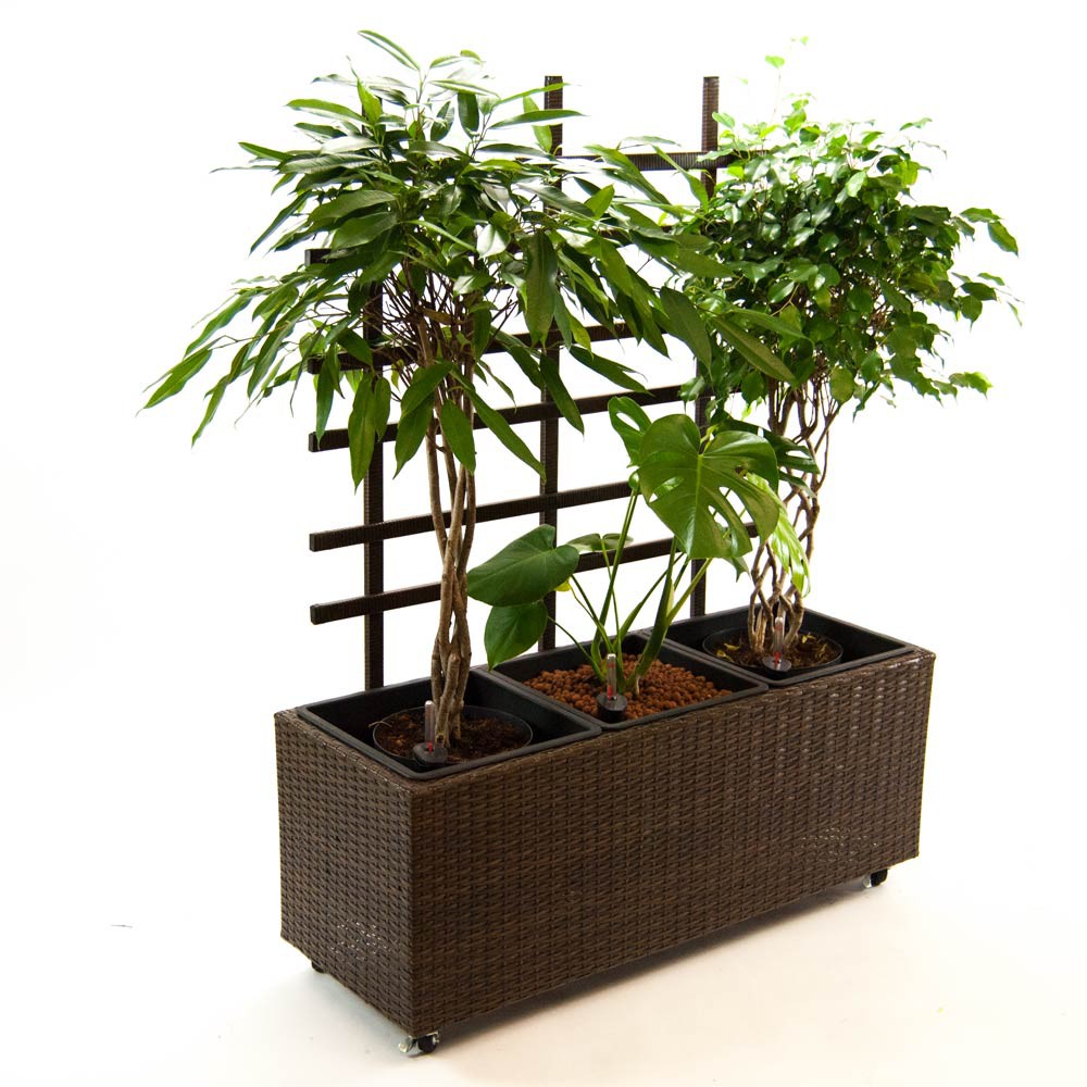 Pflanzk bel Pflanztrog Polyrattan mit Rankgitter 106x38x130cm mocca 