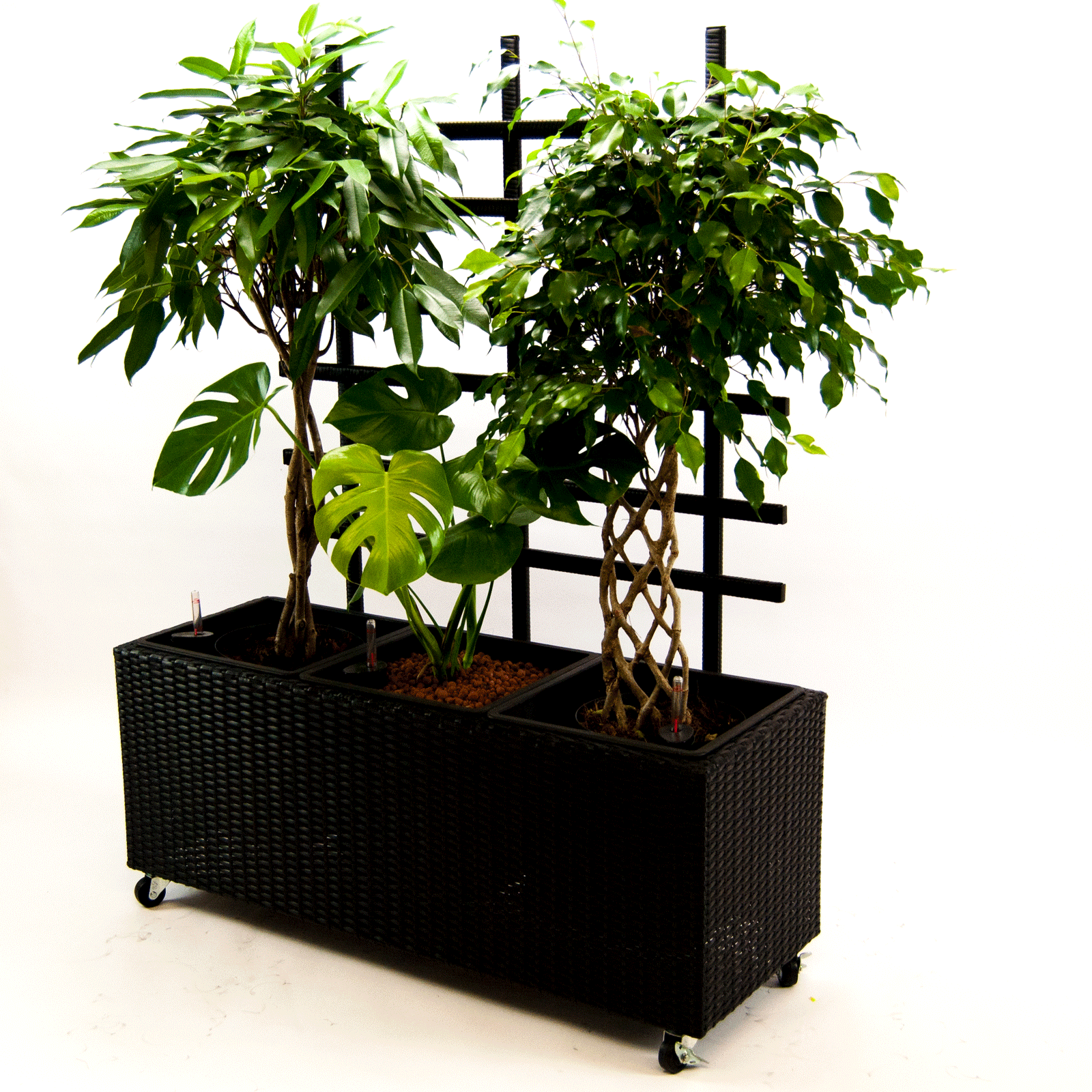 Pflanzk bel Pflanztrog Polyrattan mit Rankgitter 130x46x165cm schwarz 